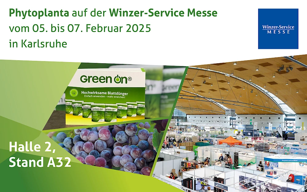 Planta Logo Neuer COO Domenic Von Planta Schwind